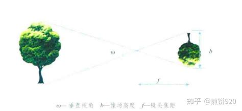 电影拍摄中｜镜头的焦距指什么？ 知乎