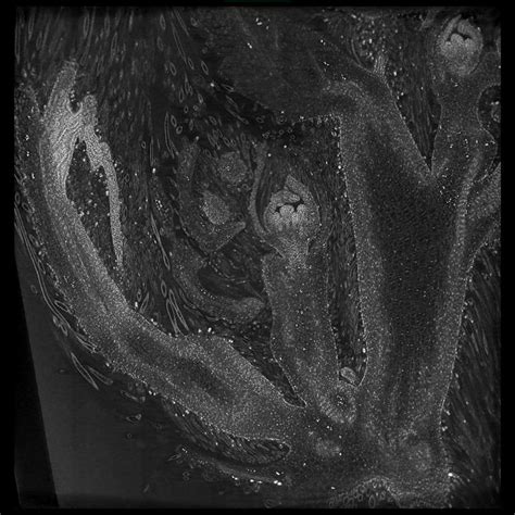 Advanced Reconstruction Technologies For X Ray Microscopy And Microct