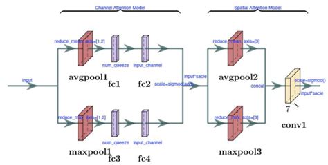 Internal Structure Of Module Cbam1 Download Scientific Diagram