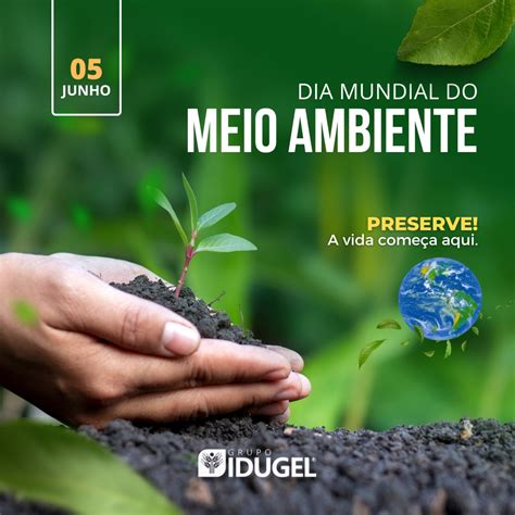 Lembrança Para O Dia Do Meio Ambiente Braincp