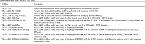 Table 1 From The Roles Of The Human Setmar Metnase Protein In