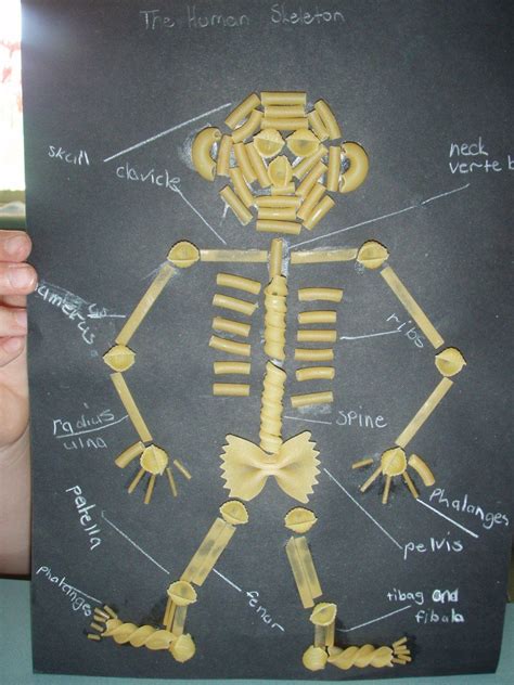 Art Craft Relief Teaching Ideas Relief Teaching Ideas Skeleton
