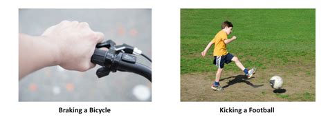 Resultant Forces Gcse Physics Explained With Examples