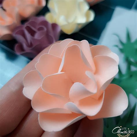 크멋자이언트플라워 사랑스러운 표정들을 가진 꽃들이 모여서