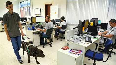 Portal De Serviços Do Executivo Acessibilidade Para Deficientes Visuais
