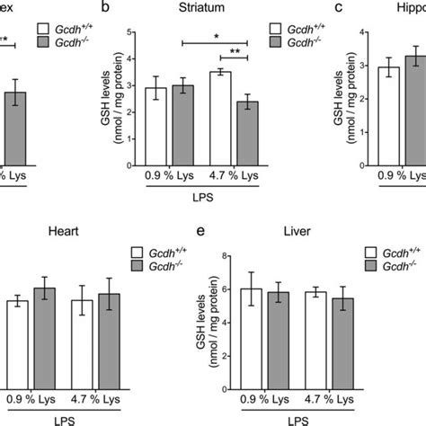 Cartoon Representation Of The Crystal Structure Of Human Glutaryl Coa