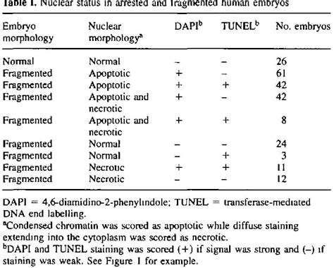 Figure 1 From Programmed Cell Death And Human Embryo Fragmentation