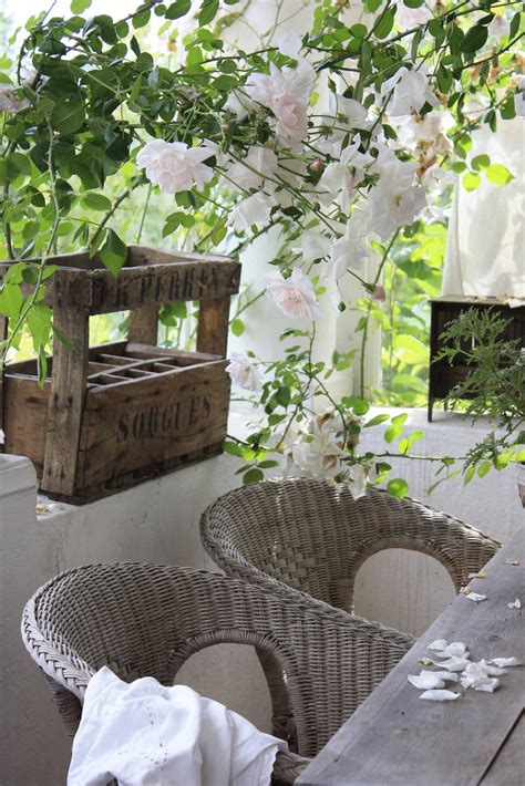 Cute Cute Et Cute ⭐