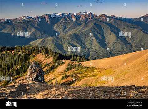 Olympus Washington