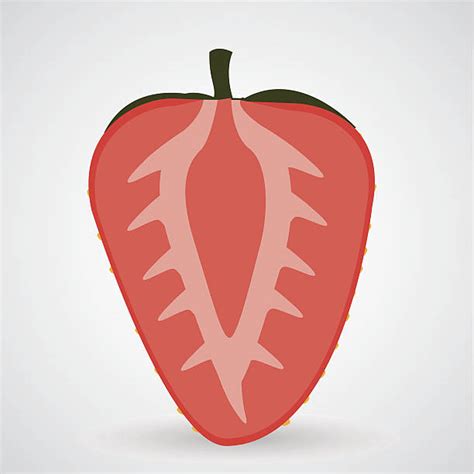 Friut Icon Illustrations Royalty Free Vector Graphics And Clip Art Istock