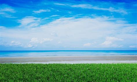 Premium Photo Bright Green Grass Field Or Lawn Next To The Beach Or Sea With Bright Blue Sky
