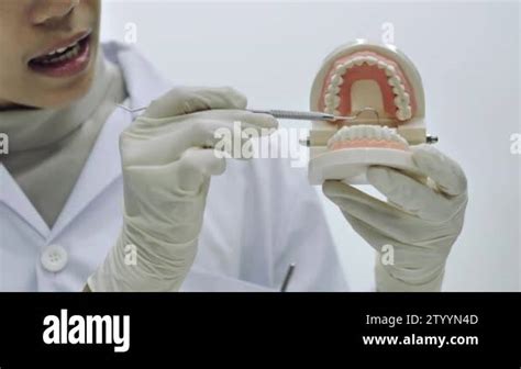 Dentist Showing To The Camera How To Use A Tool Dentist Showing Jaw