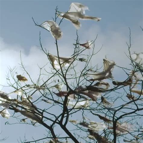 Dr Sam Connelly On Linkedin This Is By No Means The End Of The Battle Against Plastic But Its A…