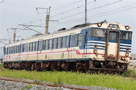 Train Directory