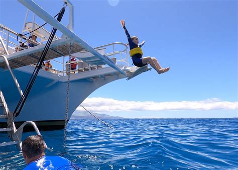 Book Maui Snorkeling Molokini Crater And Turtle Town
