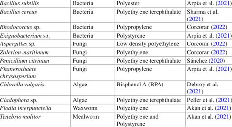 Biodegradation Of Microplastics Using Different Organisms Name Of The