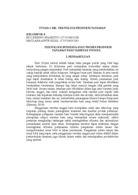 TEKNOLOGI BUDIDAYA ATAU PROSES PRODUKSI TANAMAN PADI VARIETAS UNGGUL