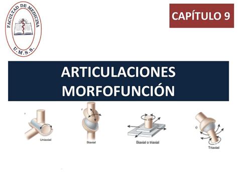 CAPITULO 9 ARTICULACIONES PROPE UMSS MORFOFUNCION Camila Alejandra