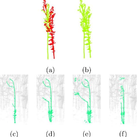 Examples Of Two Trees Extracted By Test Methods A And B Download Scientific Diagram