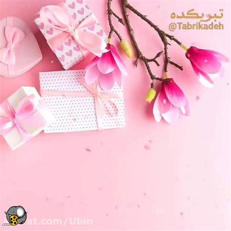 کلیپ شاد تبریک تولد اردیبهشت ماهی ها♥️عشقم تولدت مبارک ♥️ فیلو