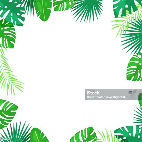 열 대 야 자 나뭇잎 벡터 사각형 프레임 텍스트에 대 한 장소를 가진 백색 배경입니다 정글 여름 만화 그림입니다 0명에 대한 스톡 벡터 아트 및 기타 이미지 Istock