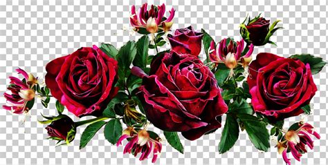 Garden Roses PNG Clipart Artificial Flower Cabbage Rose Cut Flowers