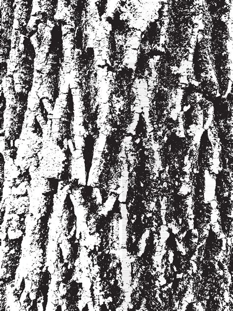 Tree Bark Pattern Vector