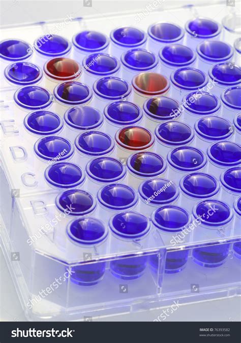 96 Well Microtiter Plate For Medical Diagnostics And Life Science