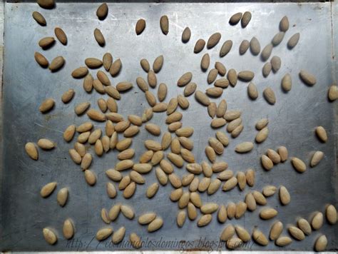 Cómo Hacer Harina De Almendras Cocina