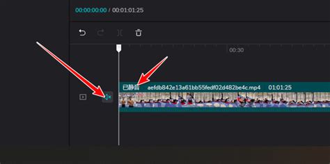 怎么删除 去除 视频中的音频 声音 360新知