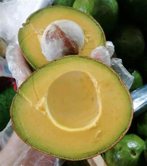 Bơ Bootnữ Hoàng Trái Cây Của Những Nữ Hoàng Trái Cây