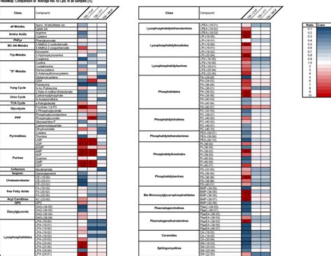 Heatmap Of Results For The Determination Of The Relative Metabolite