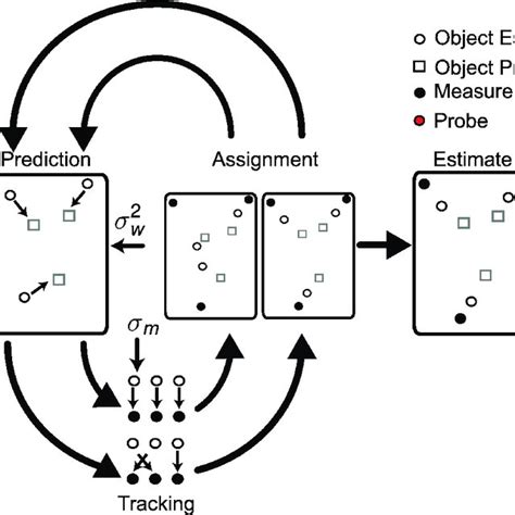 Schematic Representation Of Ideal Observer Mot Model White Circles