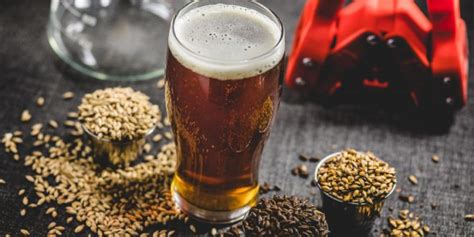 Bier Selber Brauen RCT Magazin