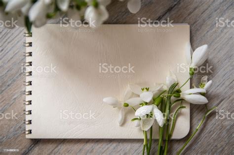 테이블에 눈덩이를 떨어 뜨 렸 고 복사 공간이 있는 빈 흰색 노트북 0명에 대한 스톡 사진 및 기타 이미지 0명 갈란투스