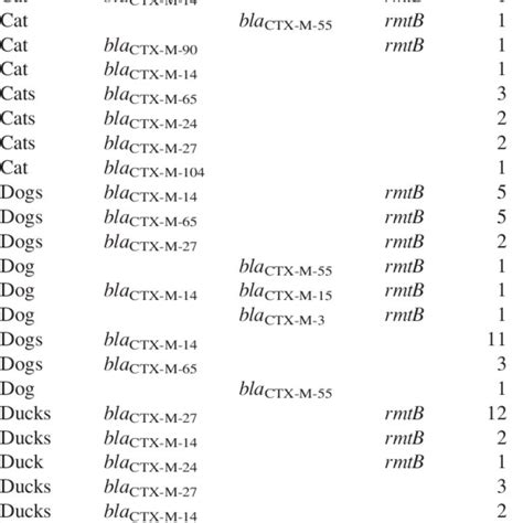 Methylase Gene Characterization Of 74 Bla Ctx M Positive E Coli