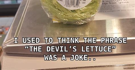 Sensible Chuckle Album On Imgur