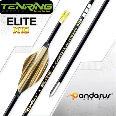 Pandarus Elite X 10 Target Arrows Arrows Tenring Archery