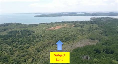 Tanjung Langsat Industrial Zoning Land Hartamas