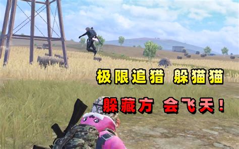 【小贝】躲藏方可以飞天了？在极限追猎玩躲猫猫，飞来飞去抓不着 小贝的游戏食堂 小贝的游戏食堂 哔哩哔哩视频