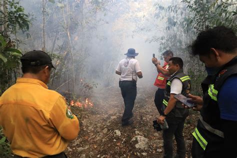 Se Encienden Las Alertas En Cancún Por Incendios Forestales
