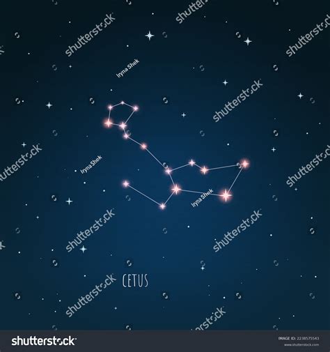 Constellation Cetus Scheme Starry Sky Open Stock Vector Royalty Free