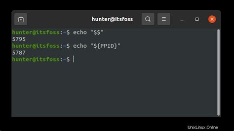 Linuxでプロセスのpidとppidを見つける方法