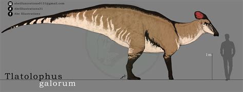 Tlatolophus Galorum Skin Definitiva I By Abeillustrations31 On Deviantart