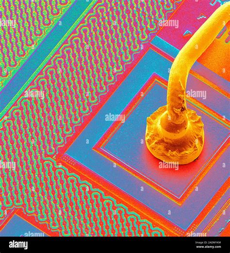 Micro Wire Coloured Scanning Electron Micrograph Sem Of A Micro Wire