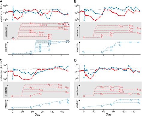Figure 1 From Rapid Diversification Of Coevolving Marine Synechococcus And A Virus Semantic