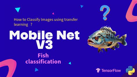Classify Images Transfer Learning Mobilenet V3 Code Eran Feits Ko