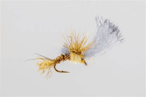 Pmd Fly Patterns 10 Top Pale Morning Dun Flies 2025