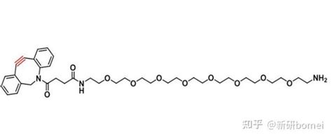 Dbco Peg8 Aminedbco Peg8 Nh2二苯并环辛炔 八聚乙二醇 氨基一种peg连接剂 知乎