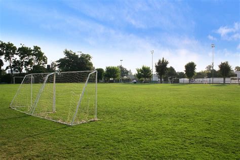 Todo Sobre Canchas De Fútbol Soccer Con Pasto Sintético